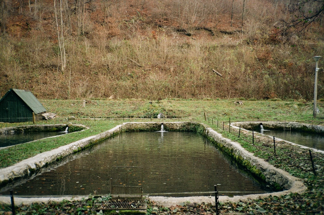 Les Jardins d'Eau à Carsac-Aillac : Tarifs et Visite Incontournable ...